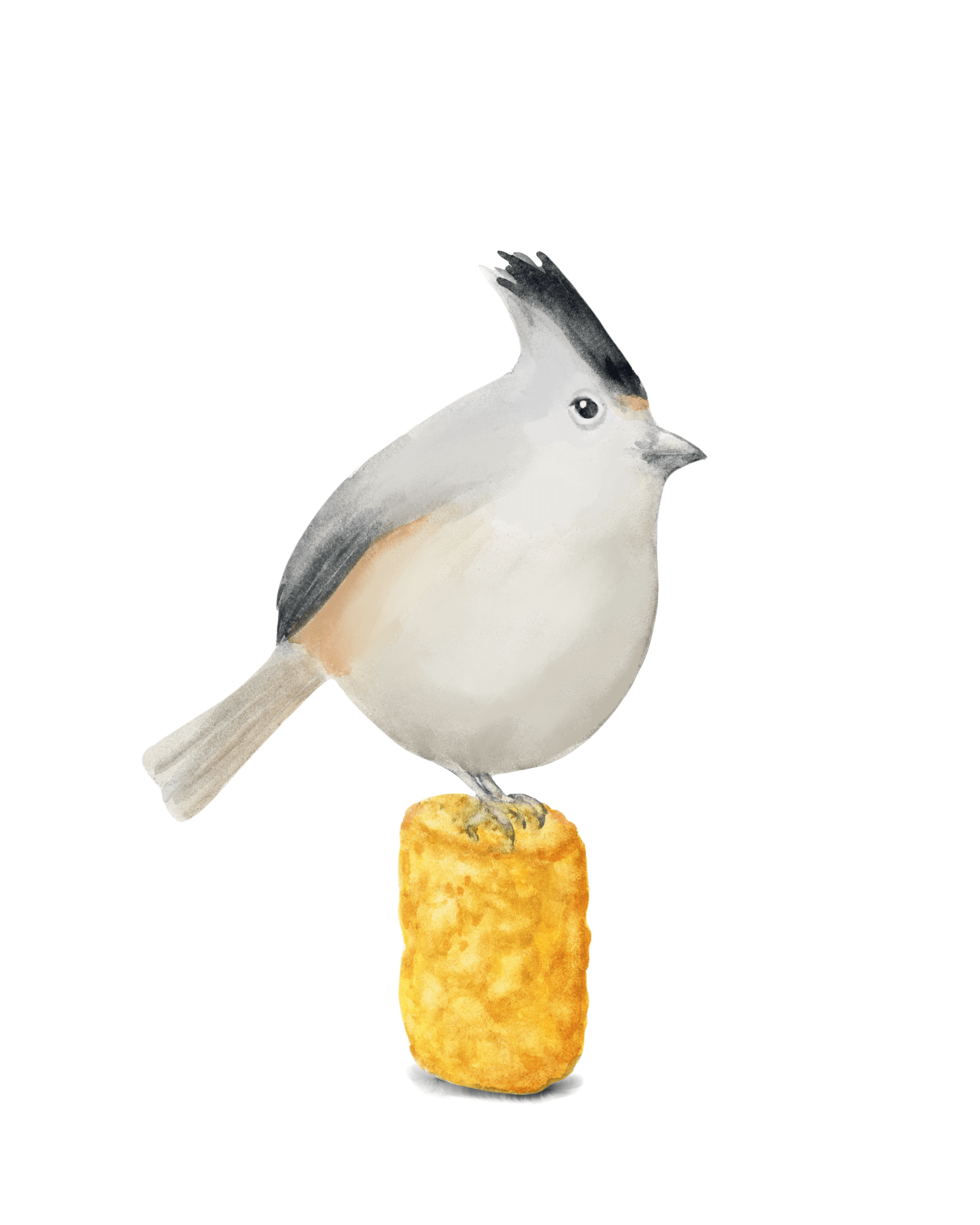 Volta Voloshin-Smith, Black Crested Titmouse on a Tater Tot - Original ...
