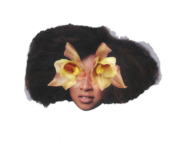 Heather Polk Art | PxP Contemporary